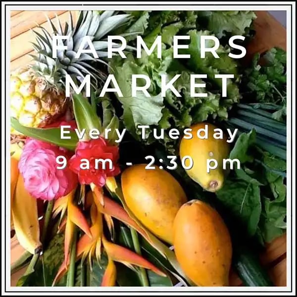 Farmers Market | Big Island Bulletin